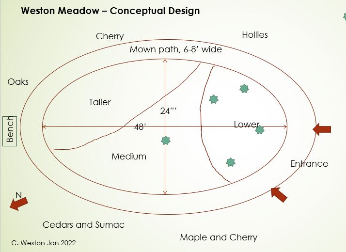 Meadow Planning – Goldenrod Garden