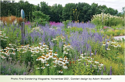 Meadow Planning – Goldenrod Garden