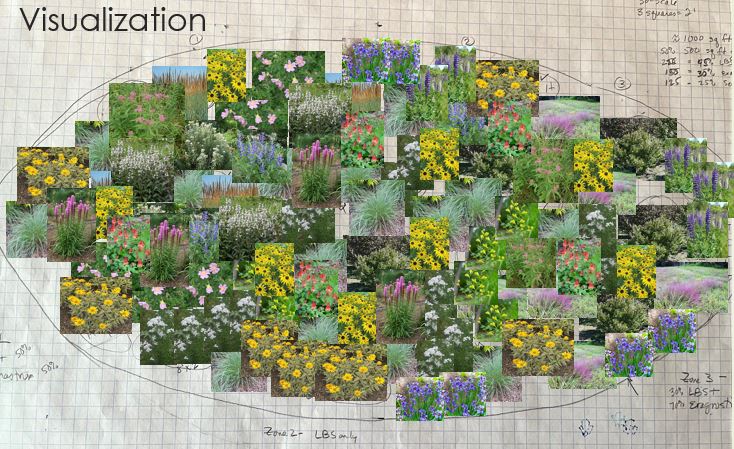 Meadow Planning – Goldenrod Garden