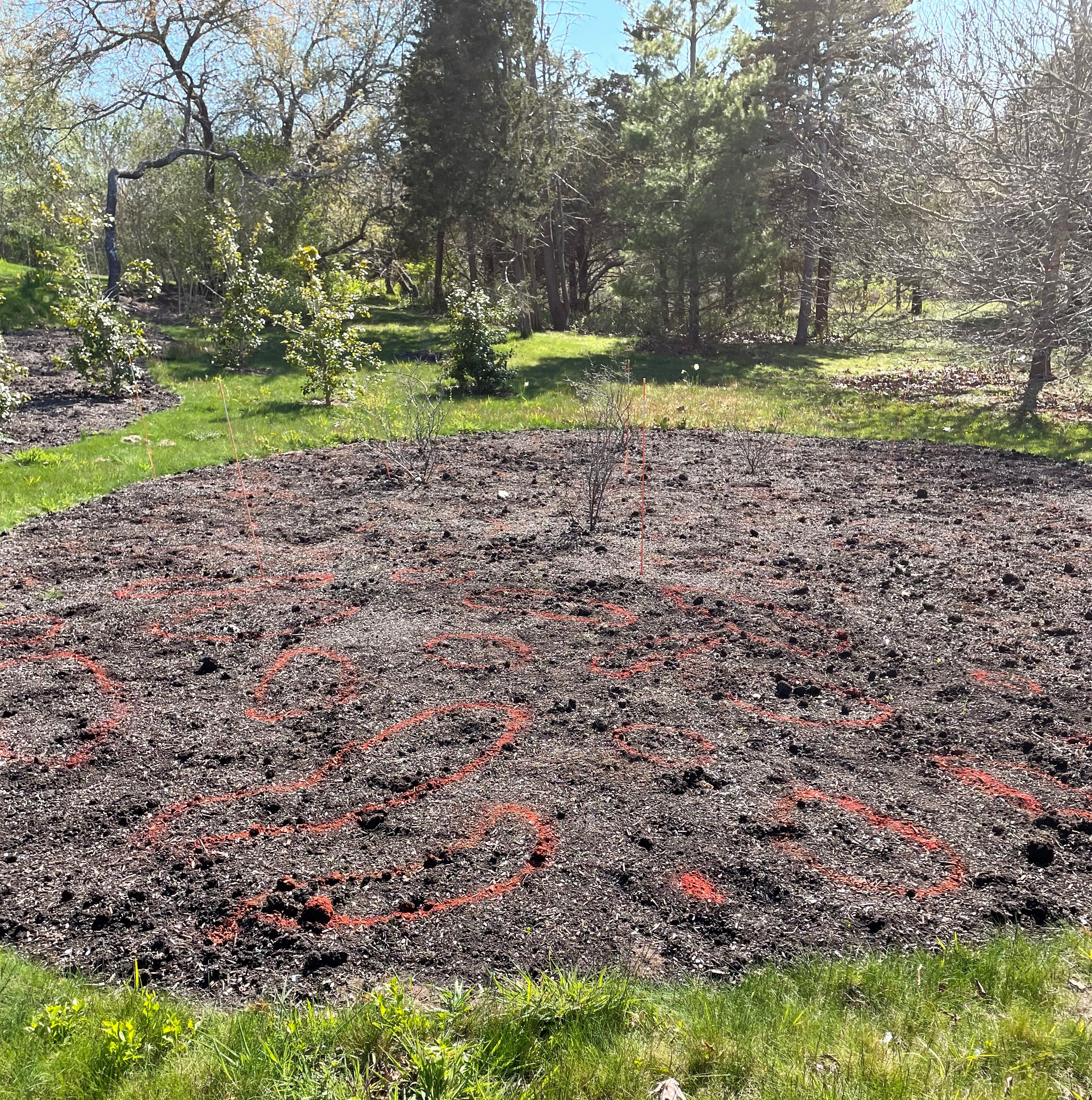The Meadow is Planted! – Goldenrod Garden